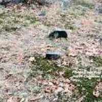 Mary Mott (1708–1753)