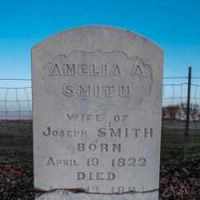 Amelia Ann Simpson (1822–1884)