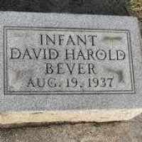 David Harold Bever (1937–1937) • FamilySearch