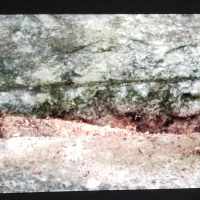 Nancy Ann Rickard (1801–1870) • FamilySearch