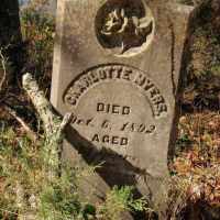 Charlotte Persinger (1813–1892) • FamilySearch