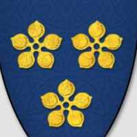 William de Bardolf II (1195–1275)