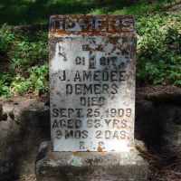 J. Amedee Demers (1845–1909) • FamilySearch