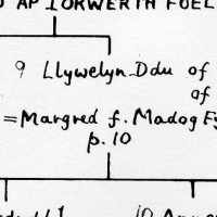 Llywelyn Ddu ap Gruffydd (1303–1340)