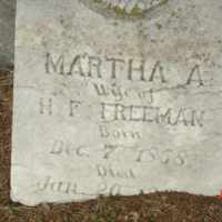 Martha Alice Lemons (1858–1899)