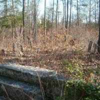 Kenneth McKenzie Murchison (1754–1834) • FamilySearch