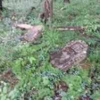 Eliphalet Cristen Chidester (1749–1821)