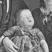 Anna Gibson Adams (1845–1884)