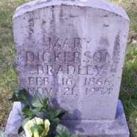 Mary Ellender Dickerson (1866–1954) • FamilySearch