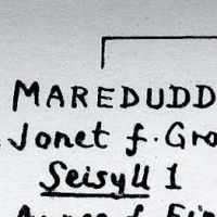 Meredydd ap Einion of Arwystli (1220–)