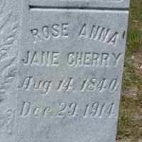 Rose Anna Jane Sheffield (1840–1914) • FamilySearch