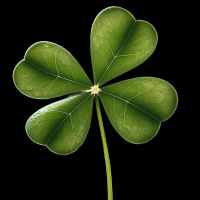 John Walker II (1697–1742)