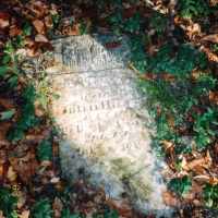 Martha Ellen Menefee (1758–1852)