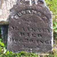 Susanna A. Pepper (1818–1861) • FamilySearch