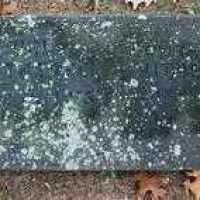 Samuel C Wetherell (1834–1913) • FamilySearch