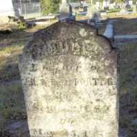 Maude Porter (1882–1883) • FamilySearch