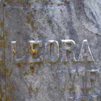 Leora Odessa Noell (1873–1957) • FamilySearch