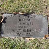 Wiley Herring (1812–1894)