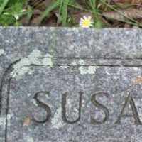 Susan Helen Ice (1869–1934) • FamilySearch