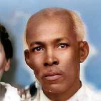 William Wesley Wiltshire (1875–1940)