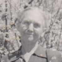 Violet Elizabeth Wilkins (1881–1975) • FamilySearch