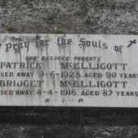 Patrick Edward McElligott (1834–1921)