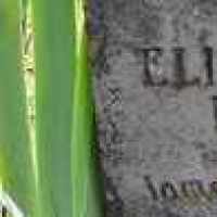 Elizabeth Horn (1820–1917) • FamilySearch