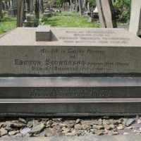 Edmund Sanderson Esq (1821–1878) • FamilySearch