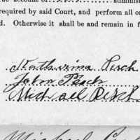 Katherina Fellenz (1839–1904) • FamilySearch