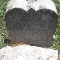 Lavinia Powell (1891–1903) • FamilySearch
