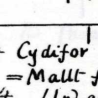 Cydifor ap Gwgon of Glyntawe (1112–1165)