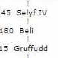 Beli ap Selyf of Guilsfield (1180–)