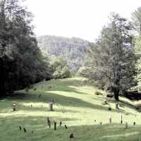 Elizabeth Callaway (1802–1900)