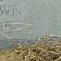 Celia Ann Rogers (1809–1889) • FamilySearch