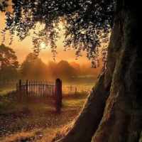 John Copp (1516–1565)