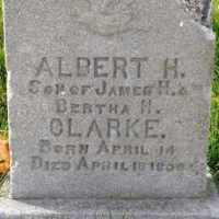 Albert H Clarke (1900–1900) • FamilySearch