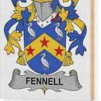 Lady Alicia Fennel (1401–1460)