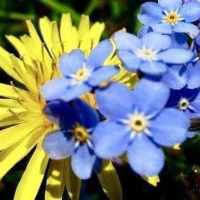 Mrs. Nils Olofsson (1684–1762) • FamilySearch