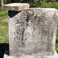 Robert Symme Spinks (1853–1923) • FamilySearch