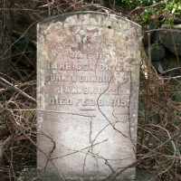 Ann Jane Pepper (1829–1915) • FamilySearch