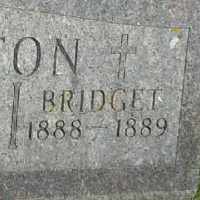 Bridget Shekleton (1889–1889) • FamilySearch