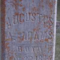 Augustus Adams (1842–1915) • FamilySearch