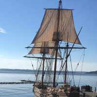 Captain William Peter Knight (1656–1720)