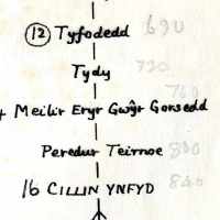 Meilir Eryr Gwyr Gorsedd ap Tydy (0765–)