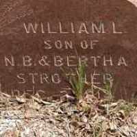William Lane Strother (1914–1916) • FamilySearch