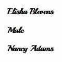 Elisha Blevins (1829–1888)