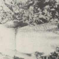 Mary Frances Metheny (1864–1938)