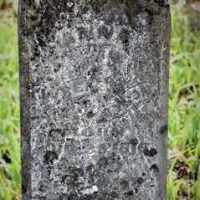 Ana Mary McNew (1816–1882) • FamilySearch