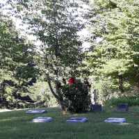 Michael Carson (1560–1639)