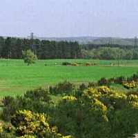 Sir John Annesley IV (–1388) • FamilySearch